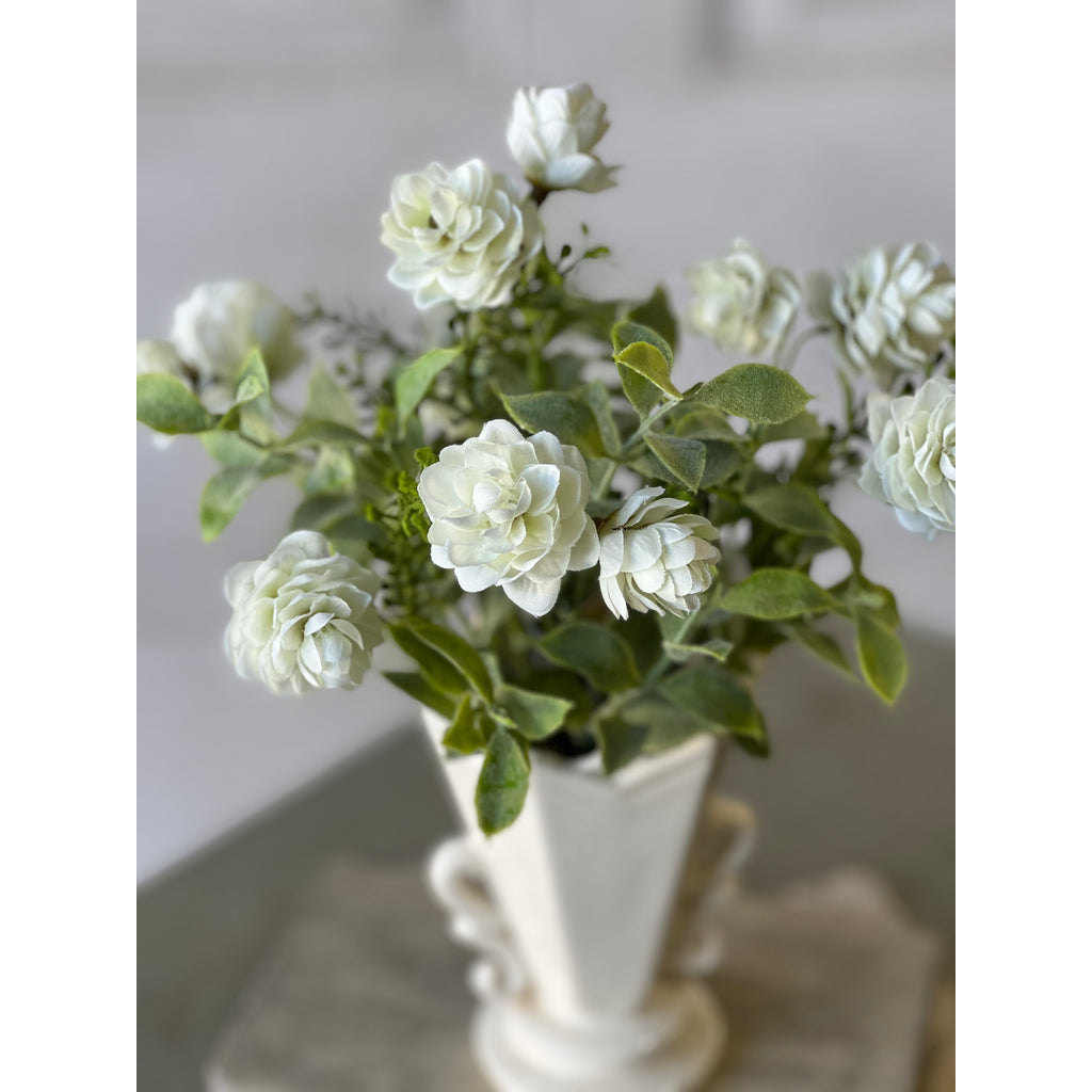 10" Irish Hops Bush – Chic & Shabby