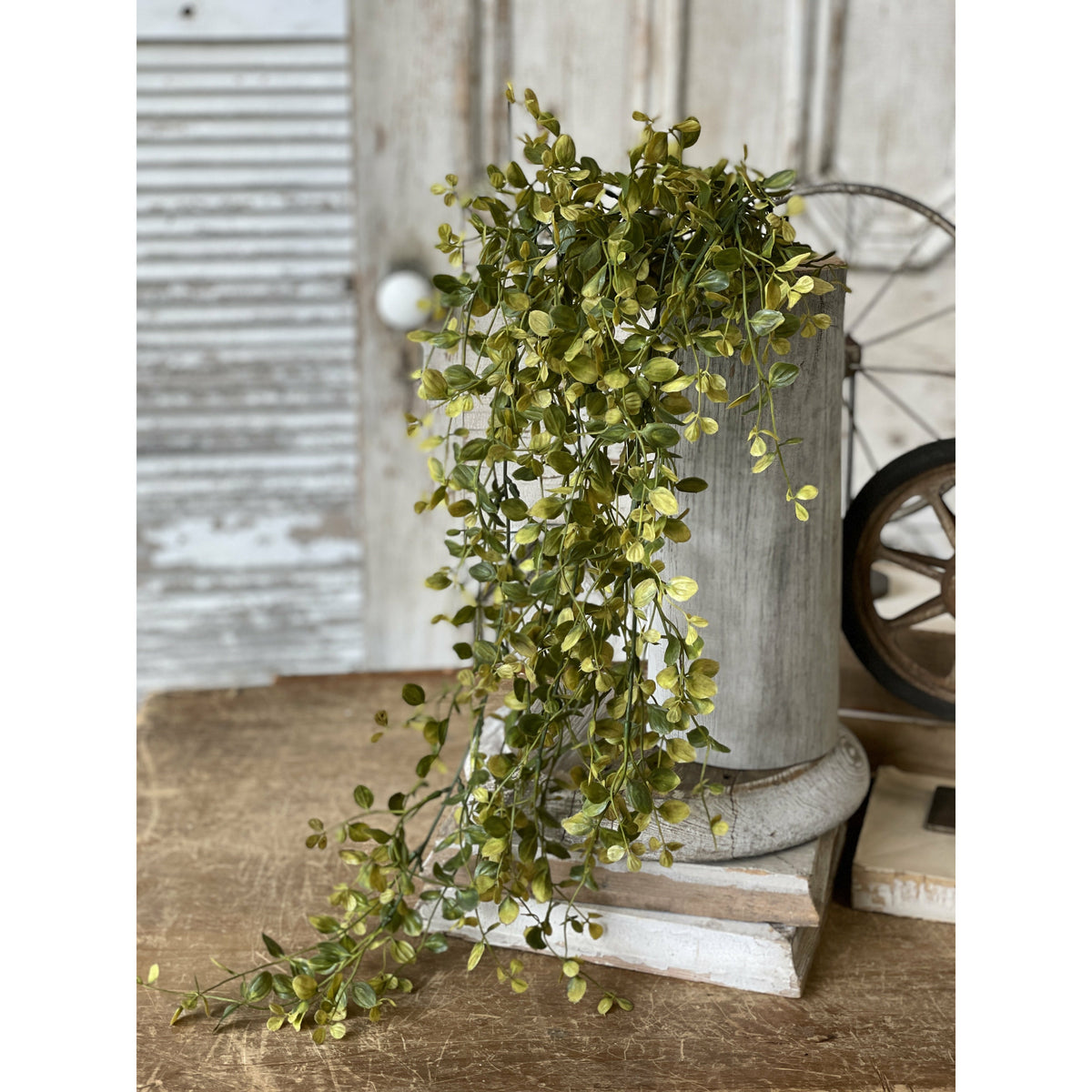 34" Bog Hanging Bush – Chic & Shabby