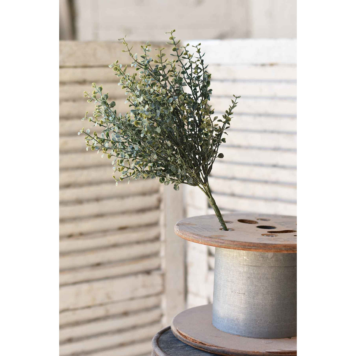 14" Baby Twilight Bush – Chic & Shabby